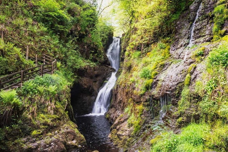 Private Tour - Irish Walled Garden, Nature & Giants Causeway - Final Thoughts: Is This Tour Right for You?