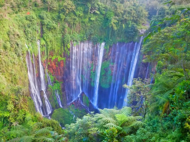 Private Tour : Jakarta - Bali 13 Day 12 Night with Hotel - An Honest Look at the 13-Day Indonesian Tour