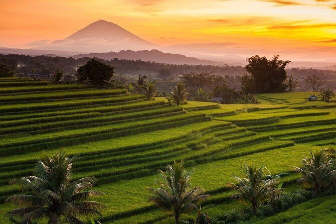 Private Tour: Jatiluwih Rice Terraces - Ulun Danu Temple - Bayumala Waterfalls - What the Tour Includes and What to Budget Extra
