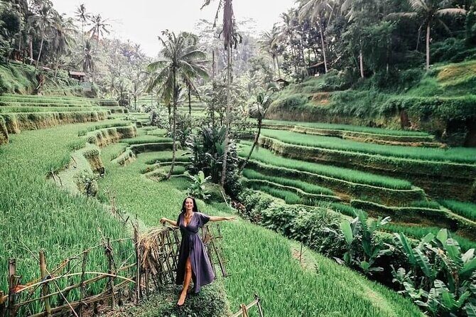 Private Tour: Jatiluwih Rice Terrace,Ulun danu and Banyu Mala Waterfall Tour - Transport, Timing, and Value