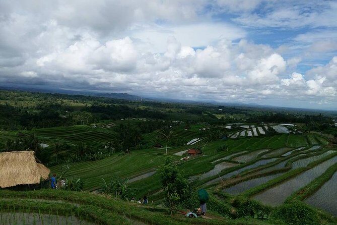 Private Tour: Jatiluwih Rice Terrace,Ulun danu and Banyu Mala Waterfall Tour - All About the Cost and Experience