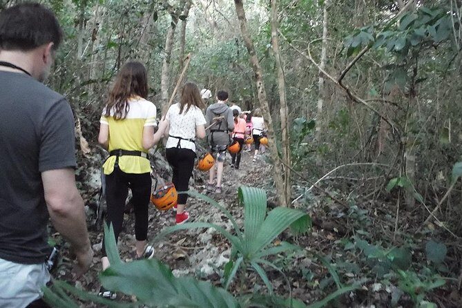Private Tour: Jungle Adventure at Punta Laguna Nature Reserve - An In-Depth Review of the Punta Laguna Jungle Adventure