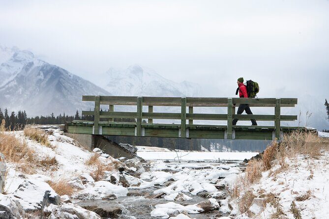 PRIVATE TOUR: Kananaskis Safari Drive and Guided Nature Walk 4H - How the Price Reflects the Experience