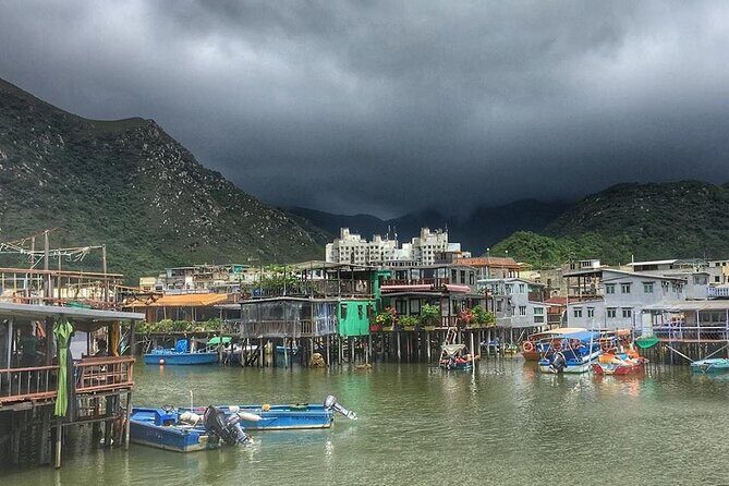 Private tour Lantau Island - Big buddha and Tai O Village - The Sum Up: Who Will Appreciate This Tour?