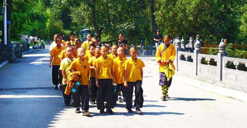 Private Tour: Longmen Grottoes, Shaolin Temple & Kungfu Show - An In-Depth Look at the Tour Experience