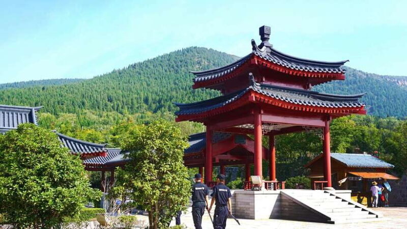 Private Tour: Longmen Grottoes, Shaolin Temple & Kungfu Show - Who Should Consider This Tour?