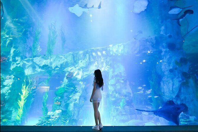 Private tour Lotte World,Tower,Aquarium(All Tickets are included) - The Marvel of Lotte World Aquarium