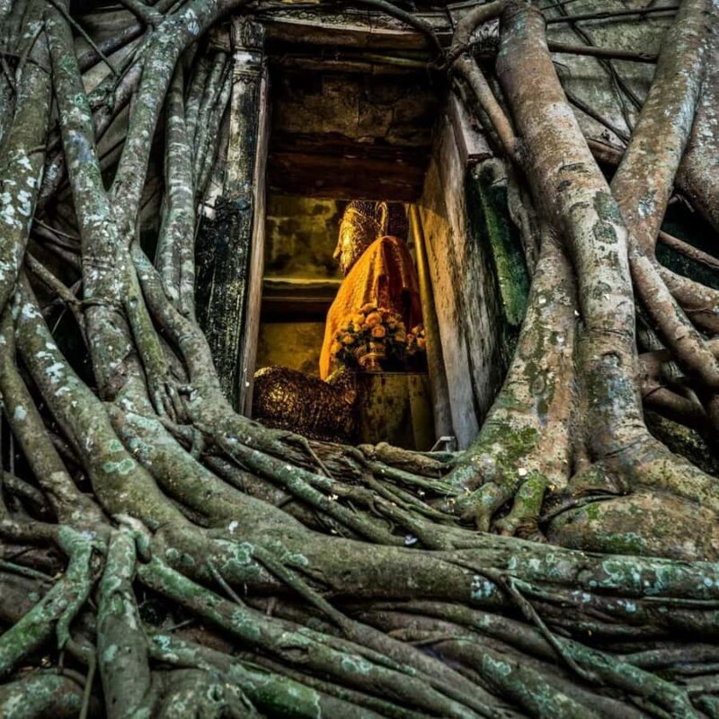 Private Tour Maeklong Railway,Floating Market, Wat Bangkung - Key Points