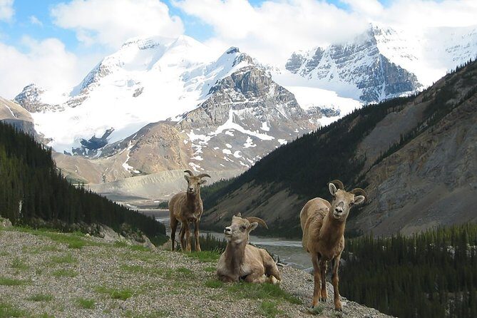 Private Tour: Majestic Mountains PHOTO SAFARI Drive - 4H - Key Points