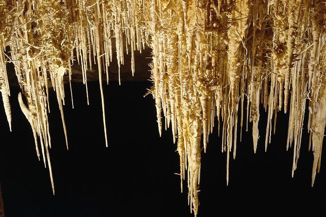 Private Tour: Mallorca Caves of Drach and Majorica Pearl Factory - Authentic Reviews and Authentic Insights
