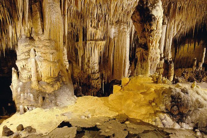 Private Tour: Mallorca Caves of Drach and Majorica Pearl Factory - FAQ