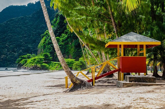 Private Tour Maracas Beach from Port of Spain - Final Thoughts