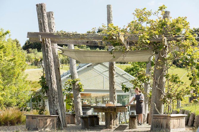 Private tour - Matakana Art & Wine Village - What You Can Expect From the Tour