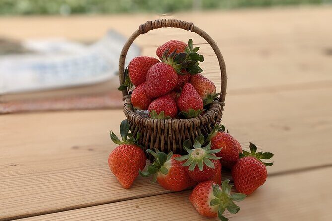 Private tour Meet the Sheep of Aso and pick Aso strawberries - Key Points