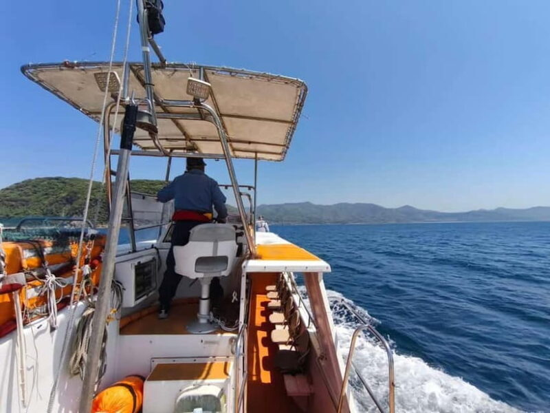 Private tour : Monkey Cruise & Explore Samurai Culture - An In-Depth Look at the Tour: Nature, Culture, and Authentic Japan