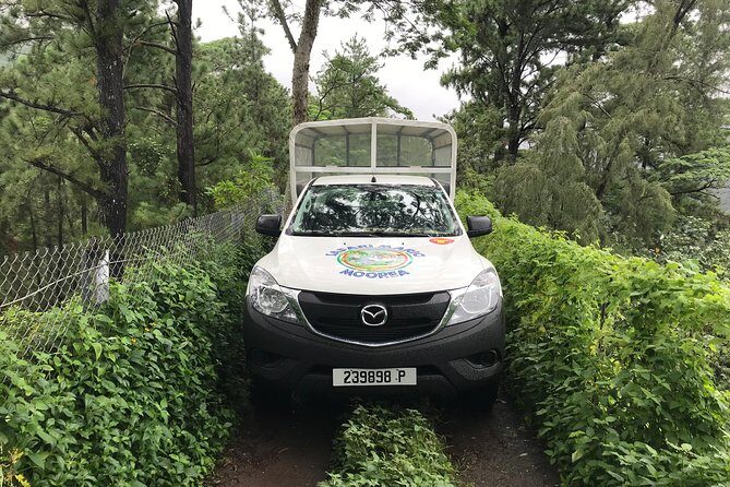Private Tour Moorea 4WD - Belvedere Pineapple Farm, Magic Mount. - Final Thoughts: Who Should Consider This Tour?