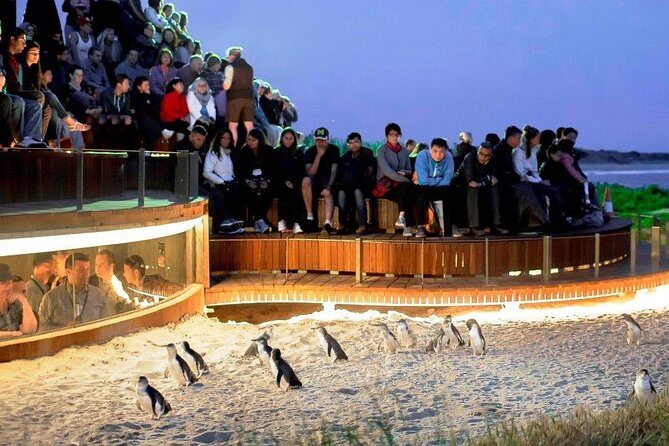 [Private Tour] Mornington Peninsula Family, Maze and Fun! - FAQ