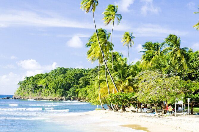 Private Tour Mount Irvine Bay from Tobago - Key Points