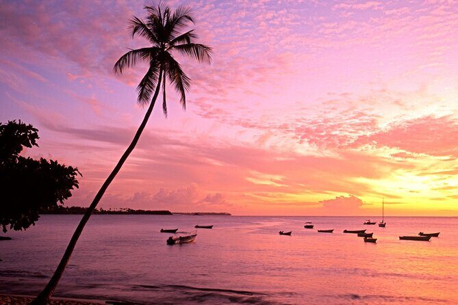 Private Tour Mount Irvine Bay from Tobago - Detailed Look at the Tour Experience