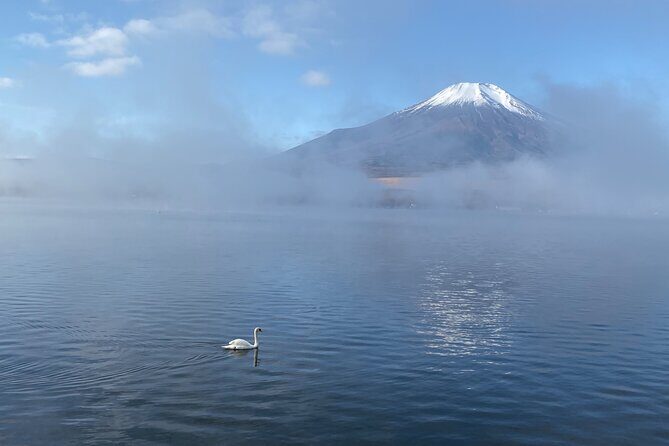 Private Tour Mt. Fuji Hakone Yokohama - Key Points