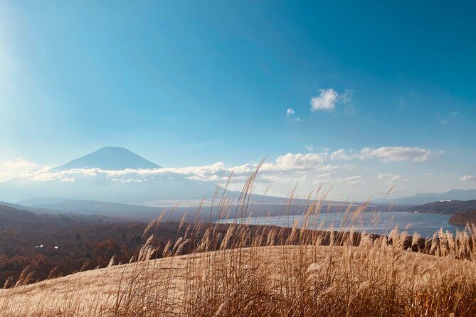 Private Tour Mt. Fuji Hakone Yokohama - FAQs