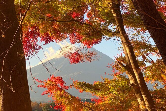 Private Tour Mt. Fuji Hakone Yokohama - The Sum Up