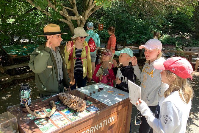 Private Tour Muir Woods and Sausalito - An In-Depth Look at the Tour