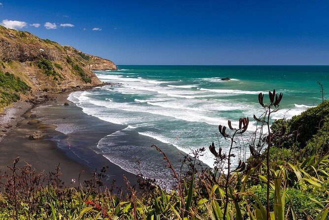 Private Tour - Muriwai Beach & Wine Tasting - A Closer Look at the Tour Experience