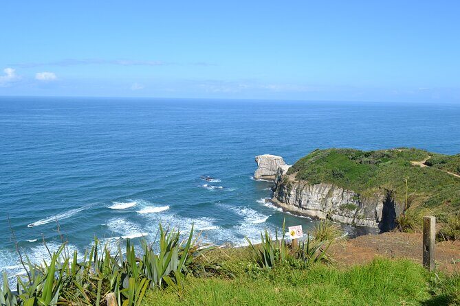 Private Tour - Muriwai Beach & Wine Tasting - Authentic Experiences & Genuine Value
