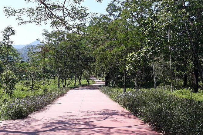 Private Tour My Son Sanctuary- Unesco Heritage site-Early Start - The Experience in Detail: What to Expect