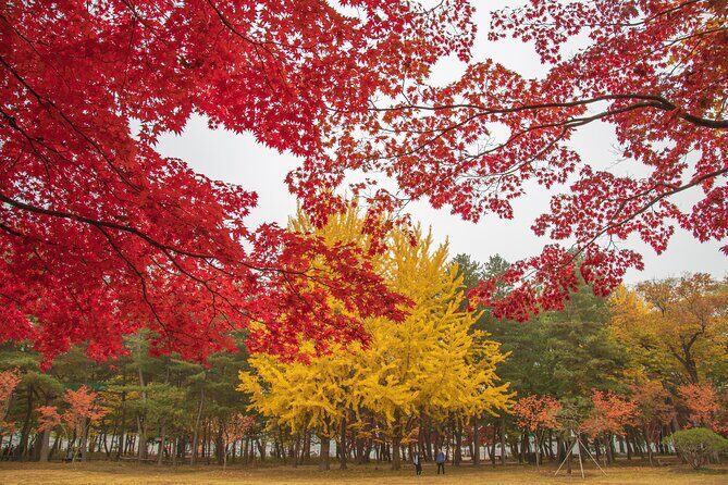(Private tour) Nami Island + Railbike + Garden of morning calm - Who Will Benefit Most?