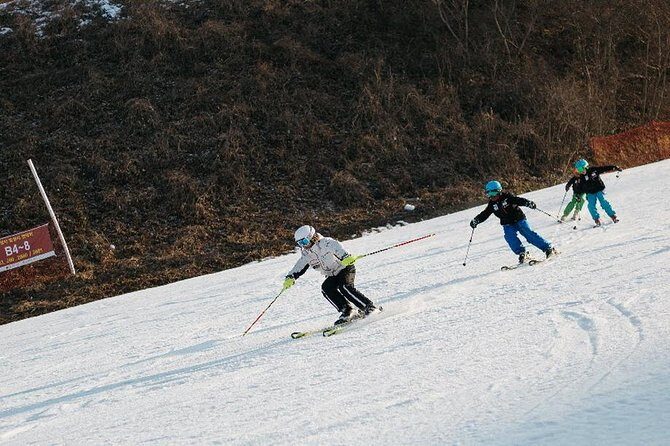 [Private Tour] Nami Island & Ski (Ski Lesson, Equip & Clothing Included) - The Anatomy of the Day Trip