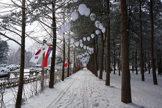 [Private Tour] Nami Island & Ski (Ski Lesson, Equip & Clothing Included) - Final Thoughts