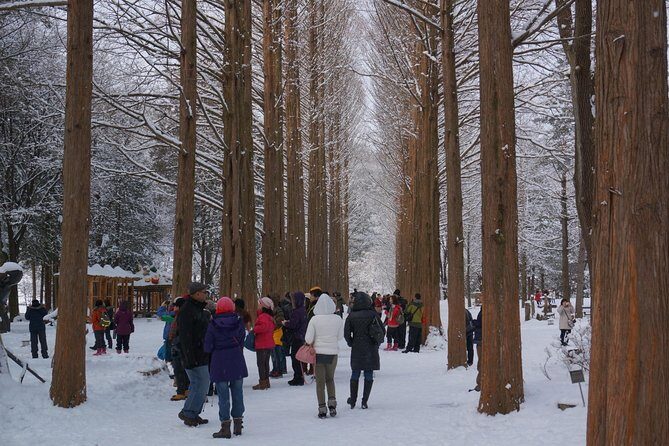 [Private Tour] Nami Island & Snow Viewing and Snow sled (More Members Less Cost) - The Comforts and Practicalities