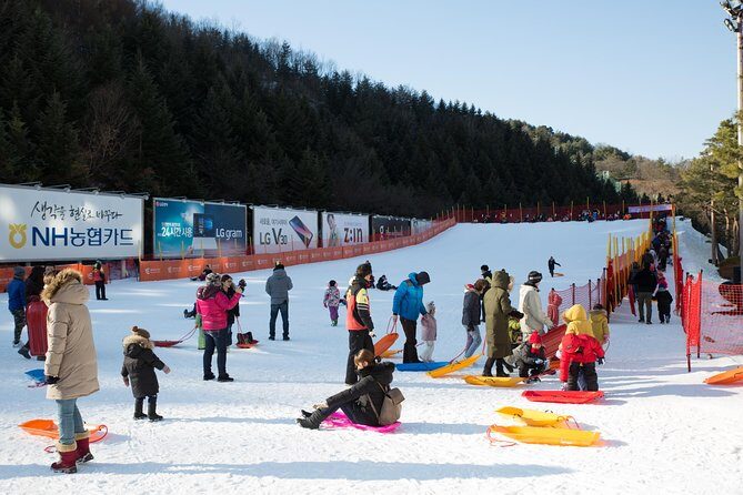 [Private Tour] Nami Island & Snow Viewing and Snow sled (More Members Less Cost) - Who Will Love This Tour?