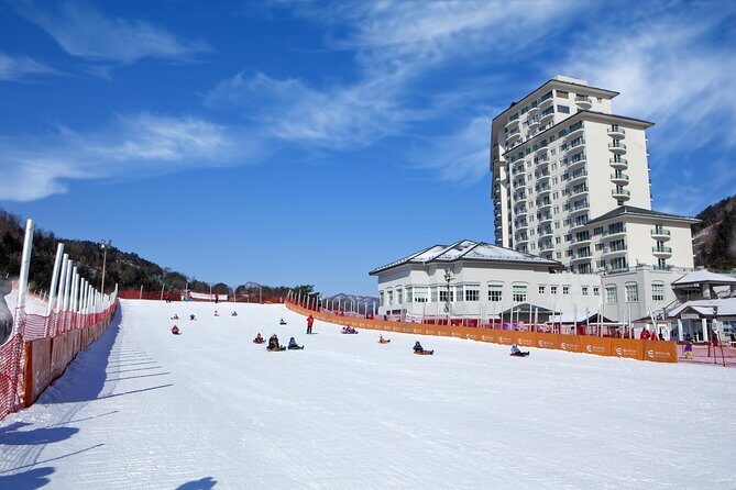 [Private Tour] Nami Island & Snow Viewing and Snow sled (More Members Less Cost) - Frequently Asked Questions