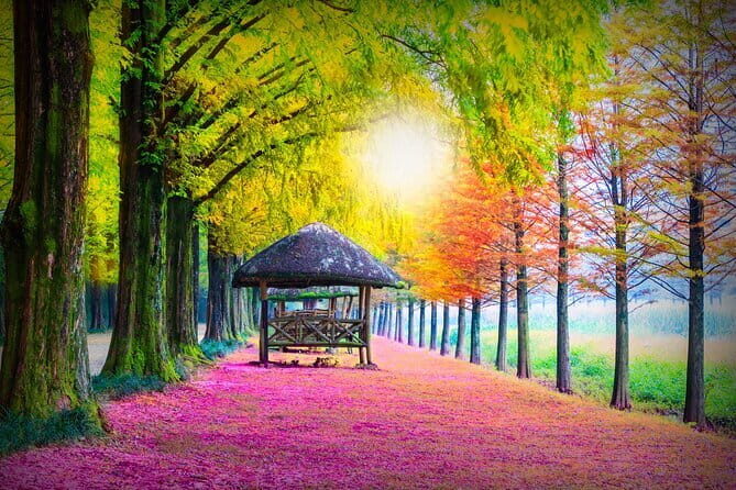 Private Tour Nami Island,Petite France,The Garden of Morning Calm - Key Points