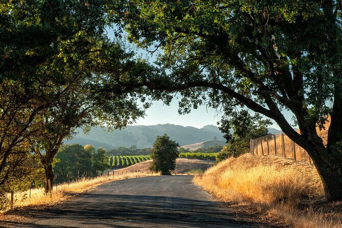 Private Tour Napa and Sonoma Valley Wine - Overview of the Napa and Sonoma Private Wine Tour
