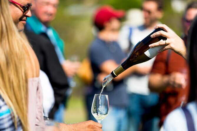 Private Tour: Napa and Sonoma Wine Country - Who Will Love This Tour?