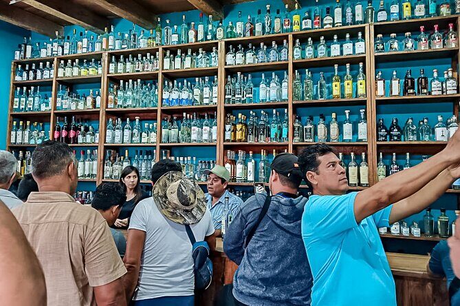 Private Tour New Raicilla Route to Mascota from Puerto Vallarta - Who Will Benefit Most?