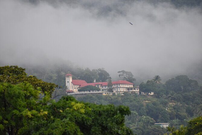 Private Tour North Coast Mountain Tour & Maracas Beach - What Makes This Tour Stand Out
