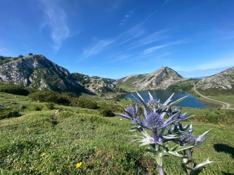 Private Tour Northern Spain 10 days - Key Points