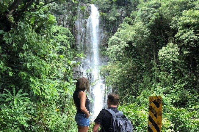 Private Tour : OAHU, MAUI, KAUAI or BIG ISLAND : Pick any Island - A Close Look at Your Hawaiian Private Tour Experience