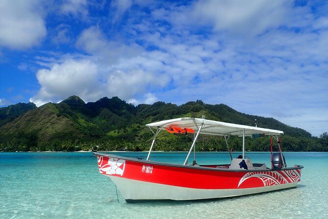 Private tour observing and swimming with humpback whales in Moorea - FAQs