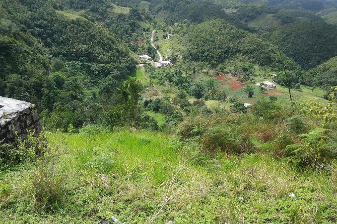 Private Tour Ocho Rios or Runaway Bay To 9 Mile Bob Marley Birth & Resting Place - Final Thoughts