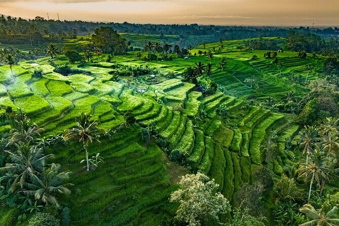 Private Tour of Balis Temples, Rice Terraces & Villages - Key Points
