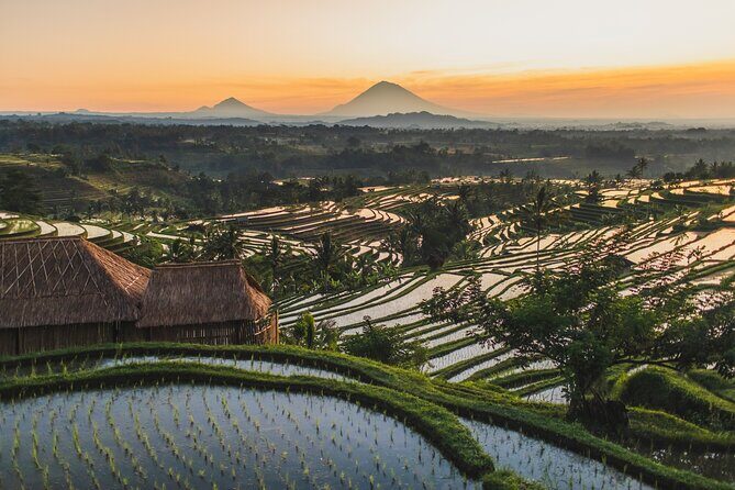Private Tour of Balis Temples, Rice Terraces & Villages - FAQ