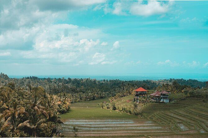 Private Tour of Balis Ubud: Culture, Nature & Heritage - An Introduction to Bali’s Ubud: A Cultural and Natural Treasure