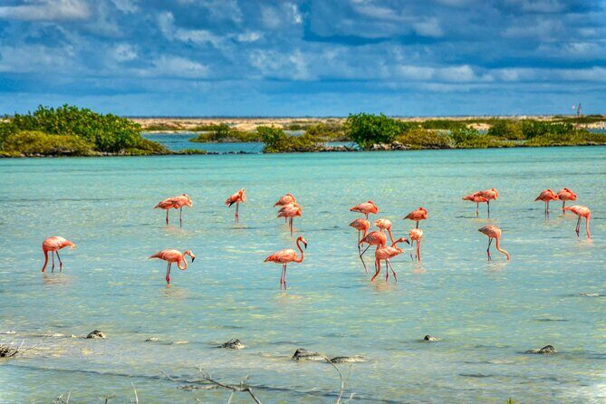 Private Tour of Beaches Hopping Curacao with Willemstad - Frequently Asked Questions