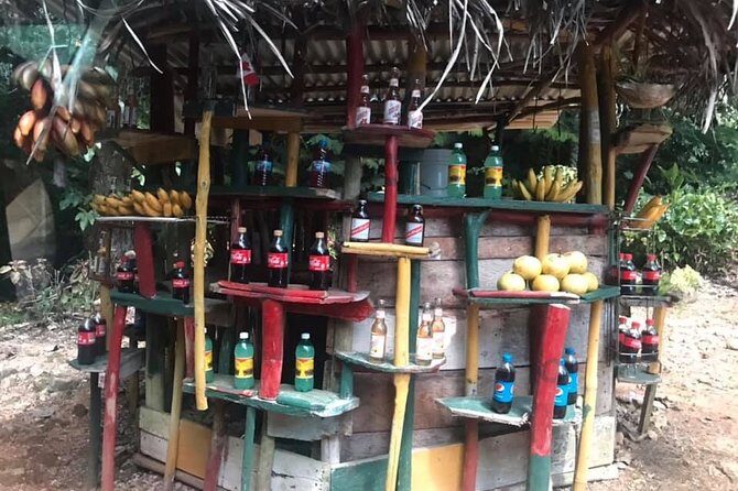 Private Tour of Bob Marley House from Ocho Rios - What We Liked and What Could Be Better
